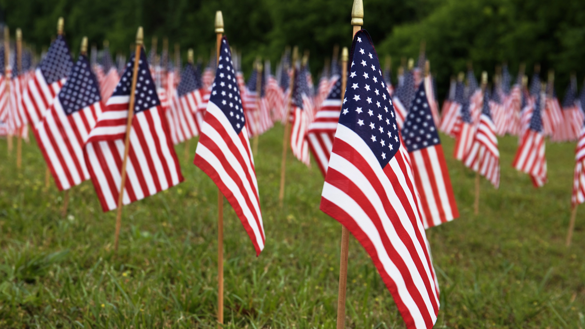 Memorial Day Flags